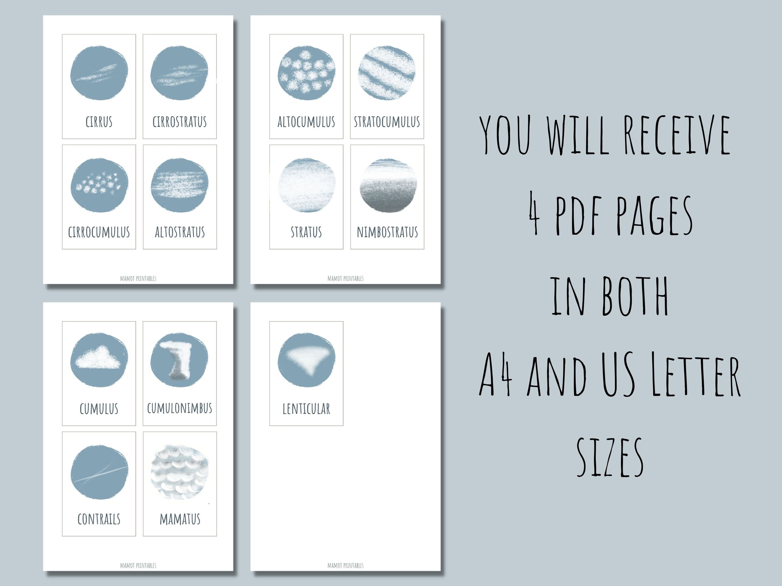 Printable Cloud Types Flashcards, Montessori Toddler Learning Materials ...