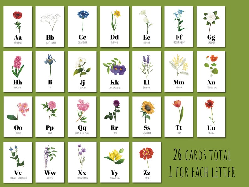 Printable Preschool Alphabet Cards, Flower Cards, Homeschool Learning ...