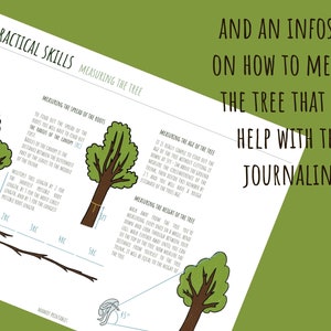 Printable Scavenger Hunt for Nature Walks Charlotte Mason Inspired ...