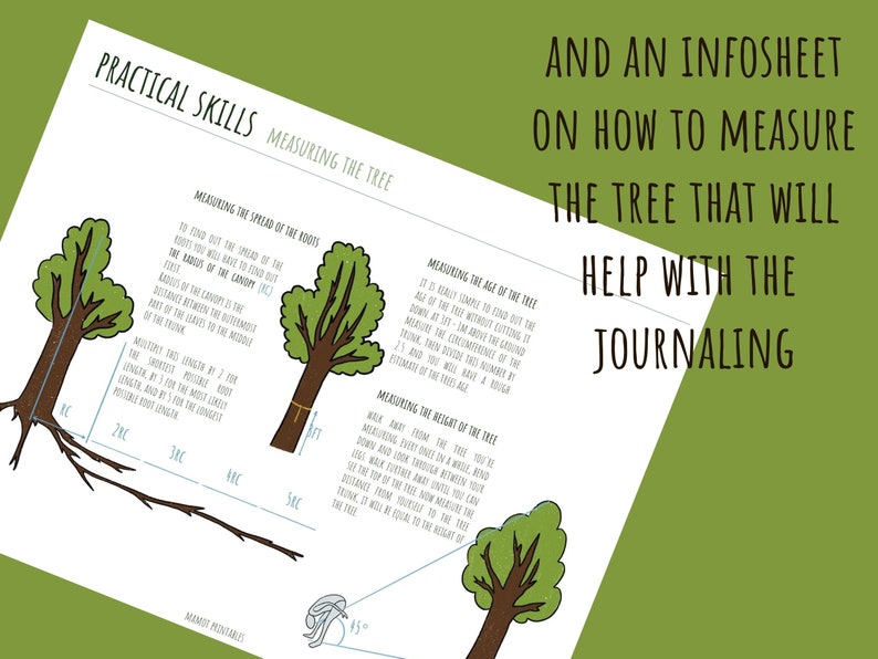 Printable Scavenger Hunt for Nature Walks Charlotte Mason Inspired ...