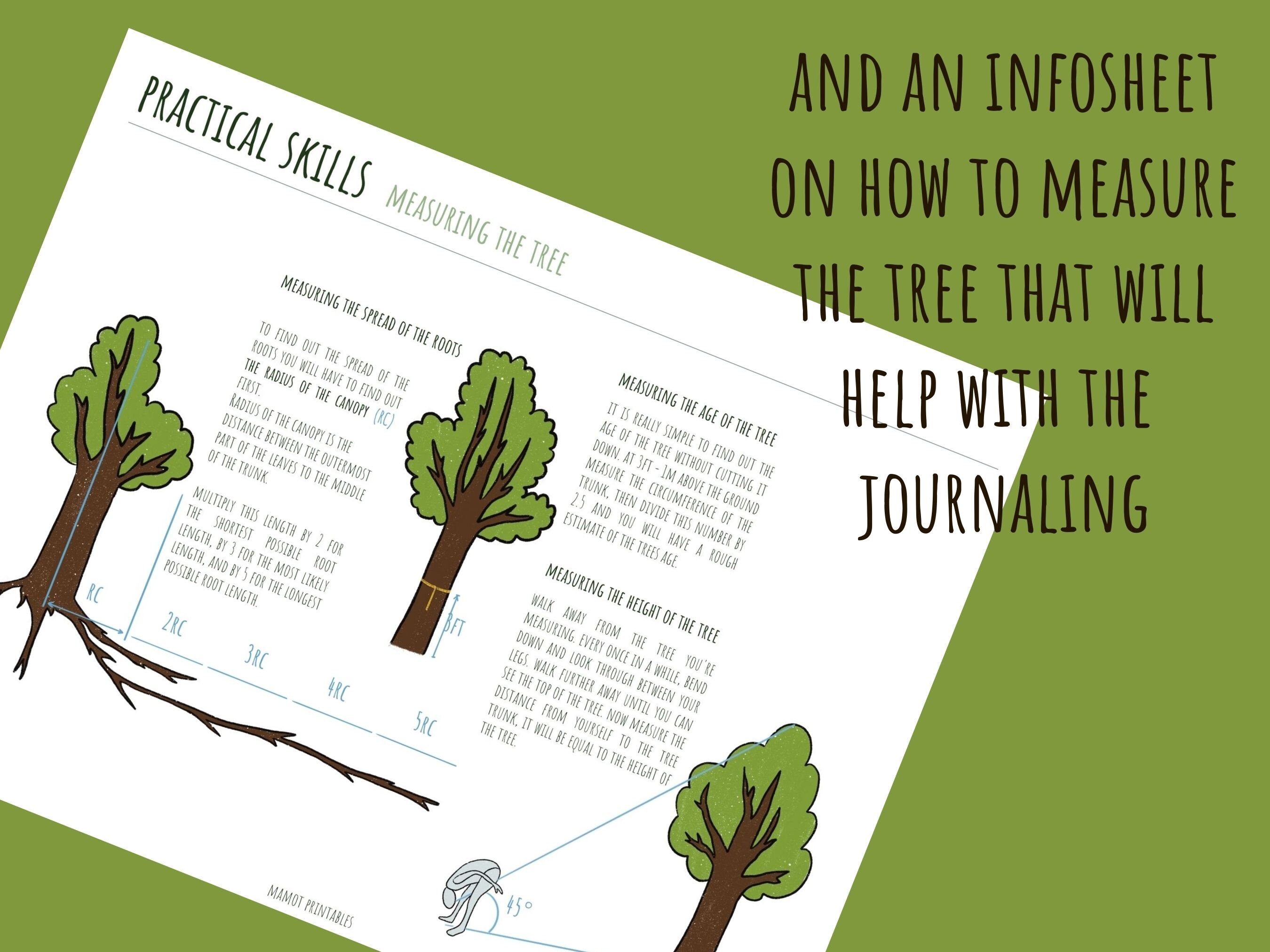 Printable Scavenger Hunt for Nature Walks Charlotte Mason Inspired ...