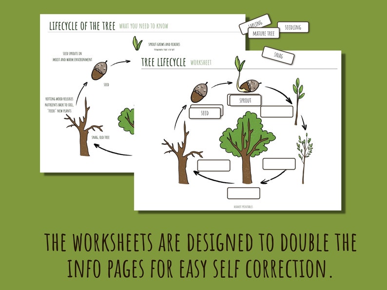 Printable Homeschool Nature Unit Study, Tree Study and Worksheets for ...