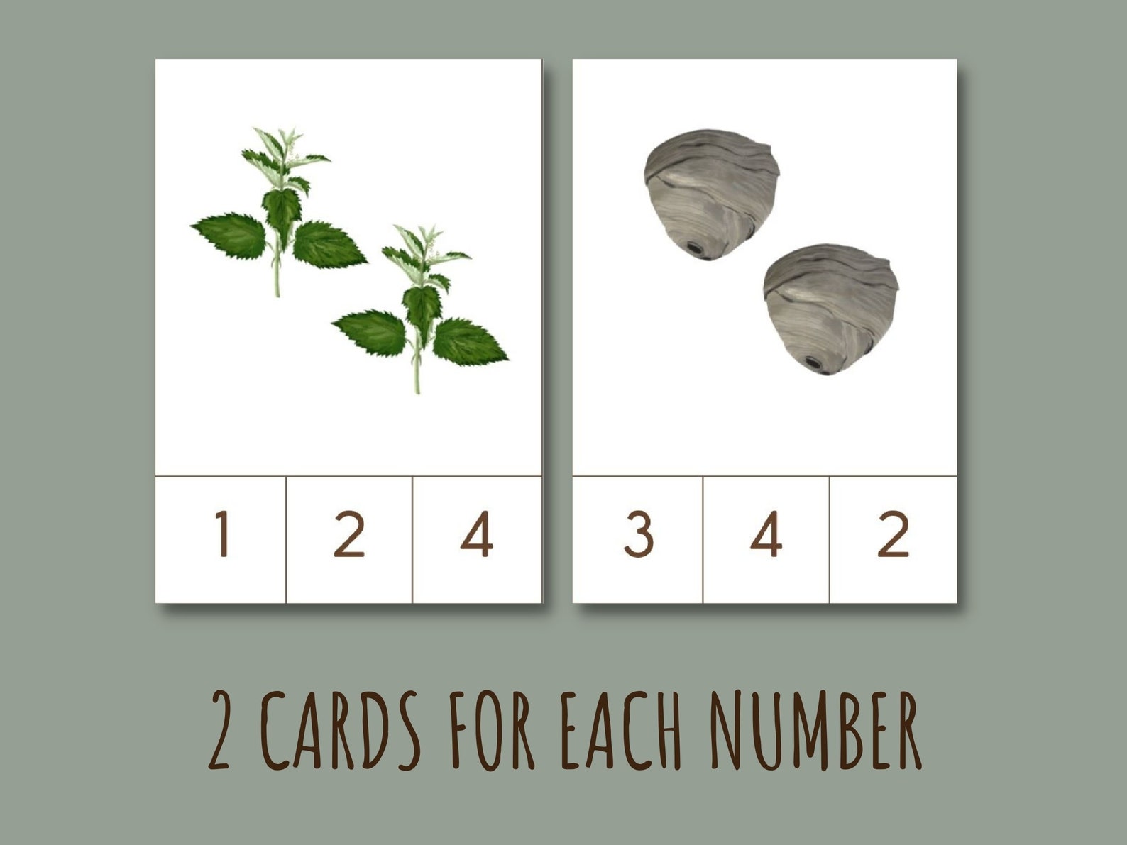 Printable Count and Clip Cards With Realistic Illustrations for a ...