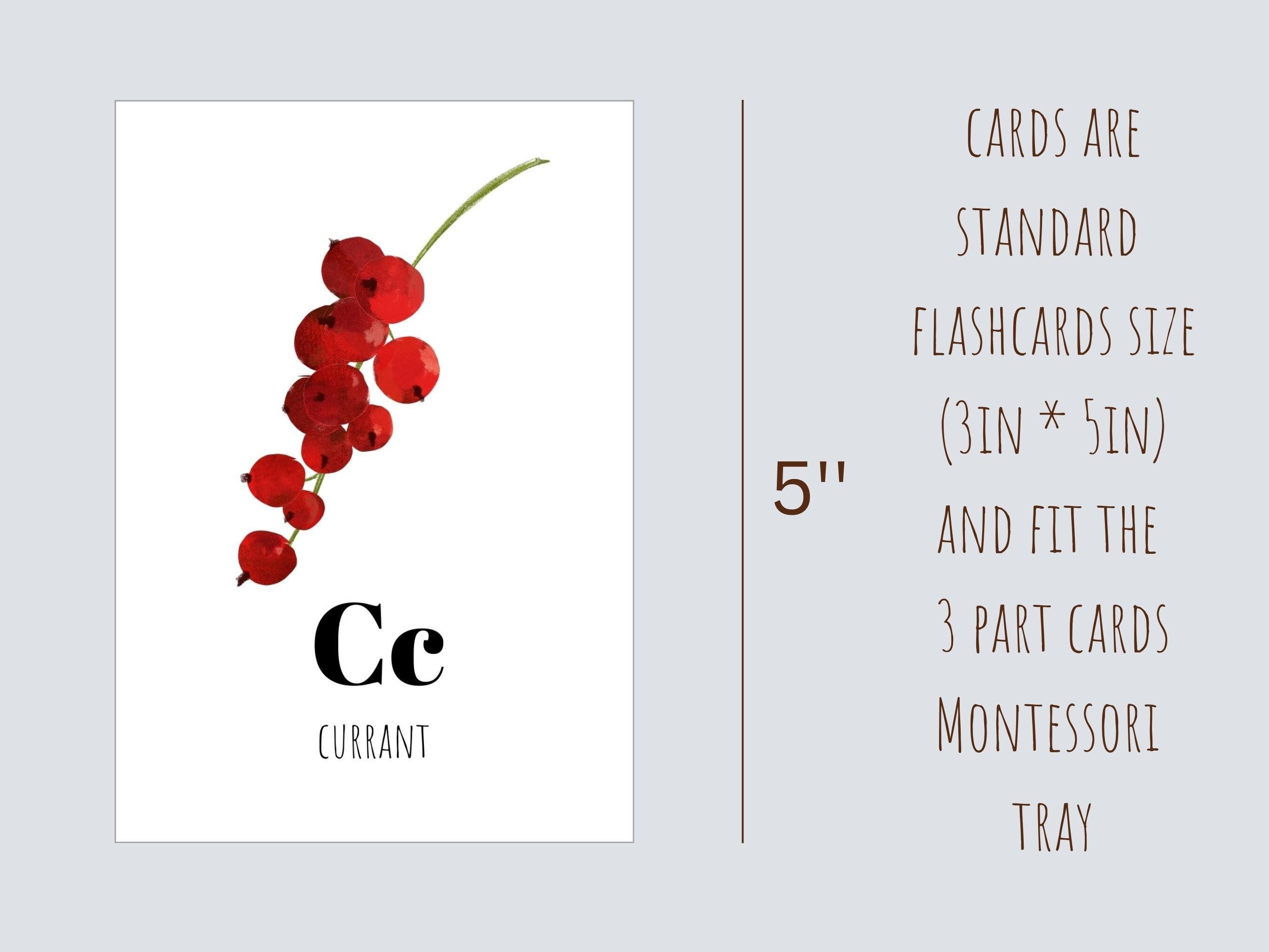 Printable Alphabet Flashcards for Toddler Learning to Read, Digital ...