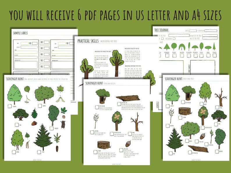 Printable Scavenger Hunt for Nature Walks Charlotte Mason Inspired ...