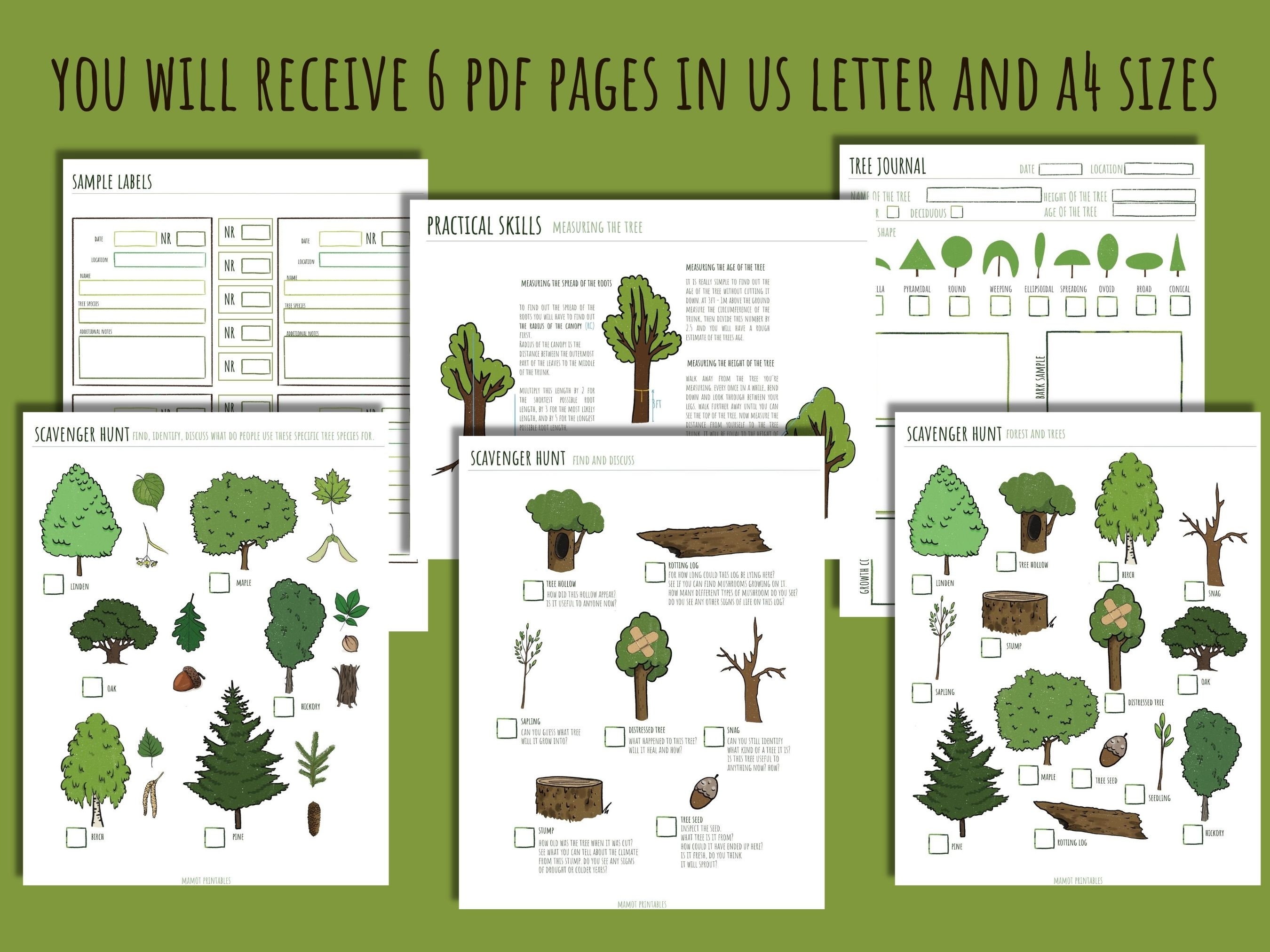 Printable Scavenger Hunt for Nature Walks Charlotte Mason Inspired ...