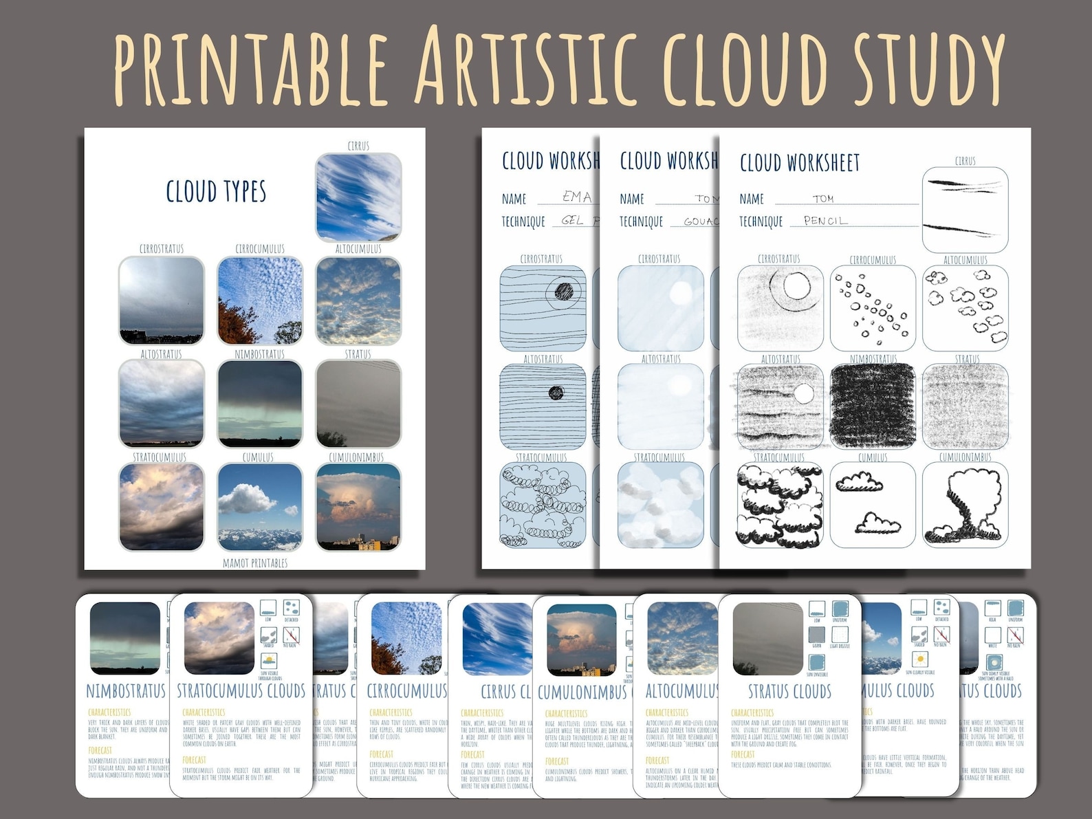 Cloud Study Homeschooling Curriculum Printable Cloud Unit Study ...