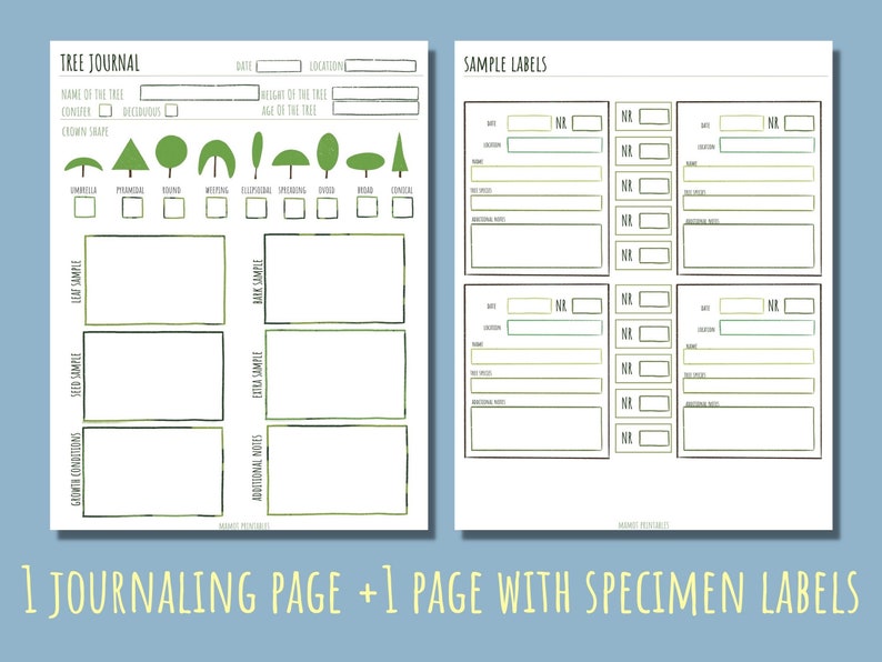 Printable Nature Scavenger Hunt Outdoor Play Homeschool Nature ...
