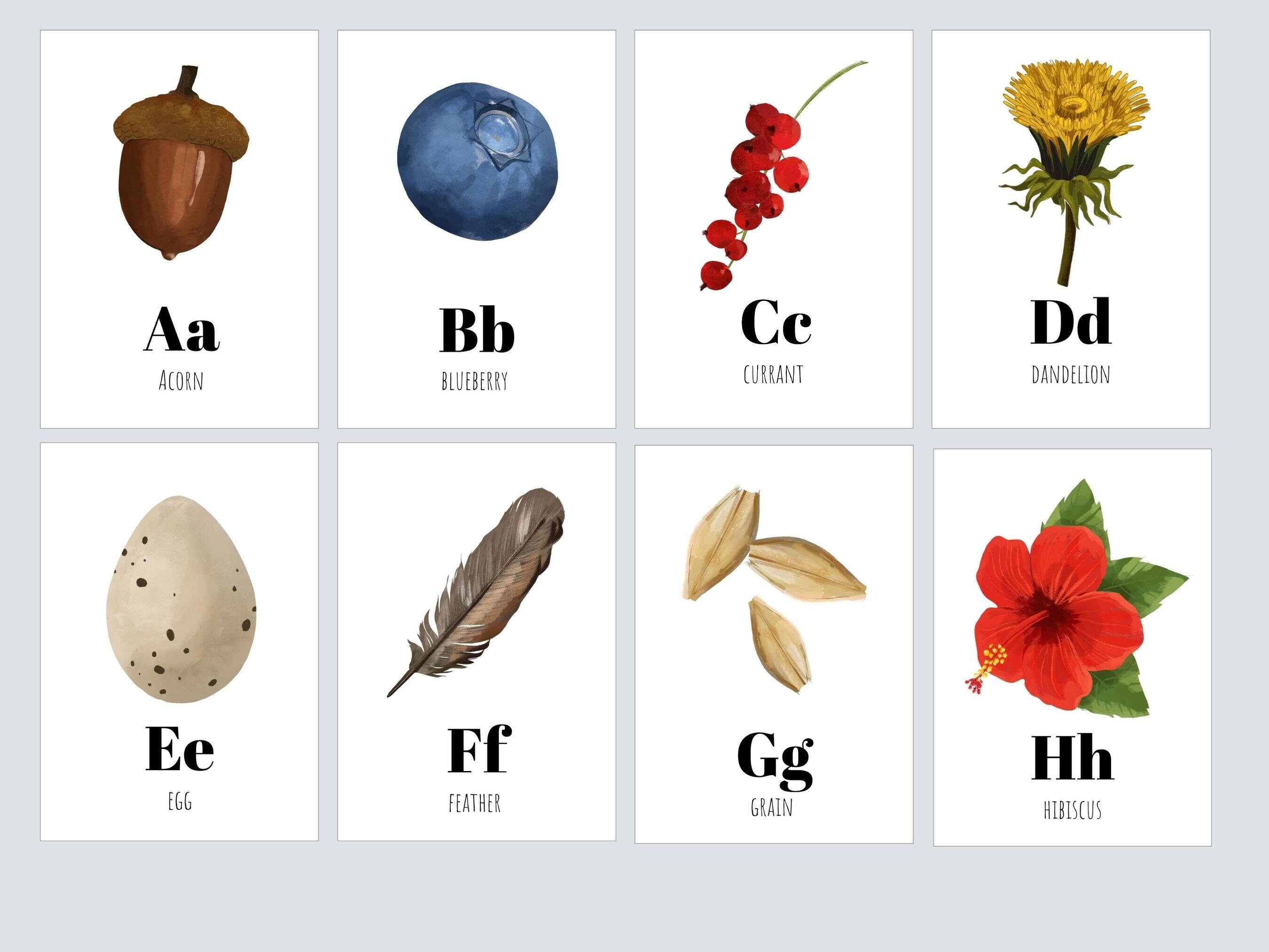 Printable Alphabet Flashcards for Toddler Learning to Read, Digital ...