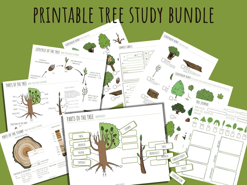 Printable Tree Study Bundle: Homeschool Nature Unit (PDF) - Etsy