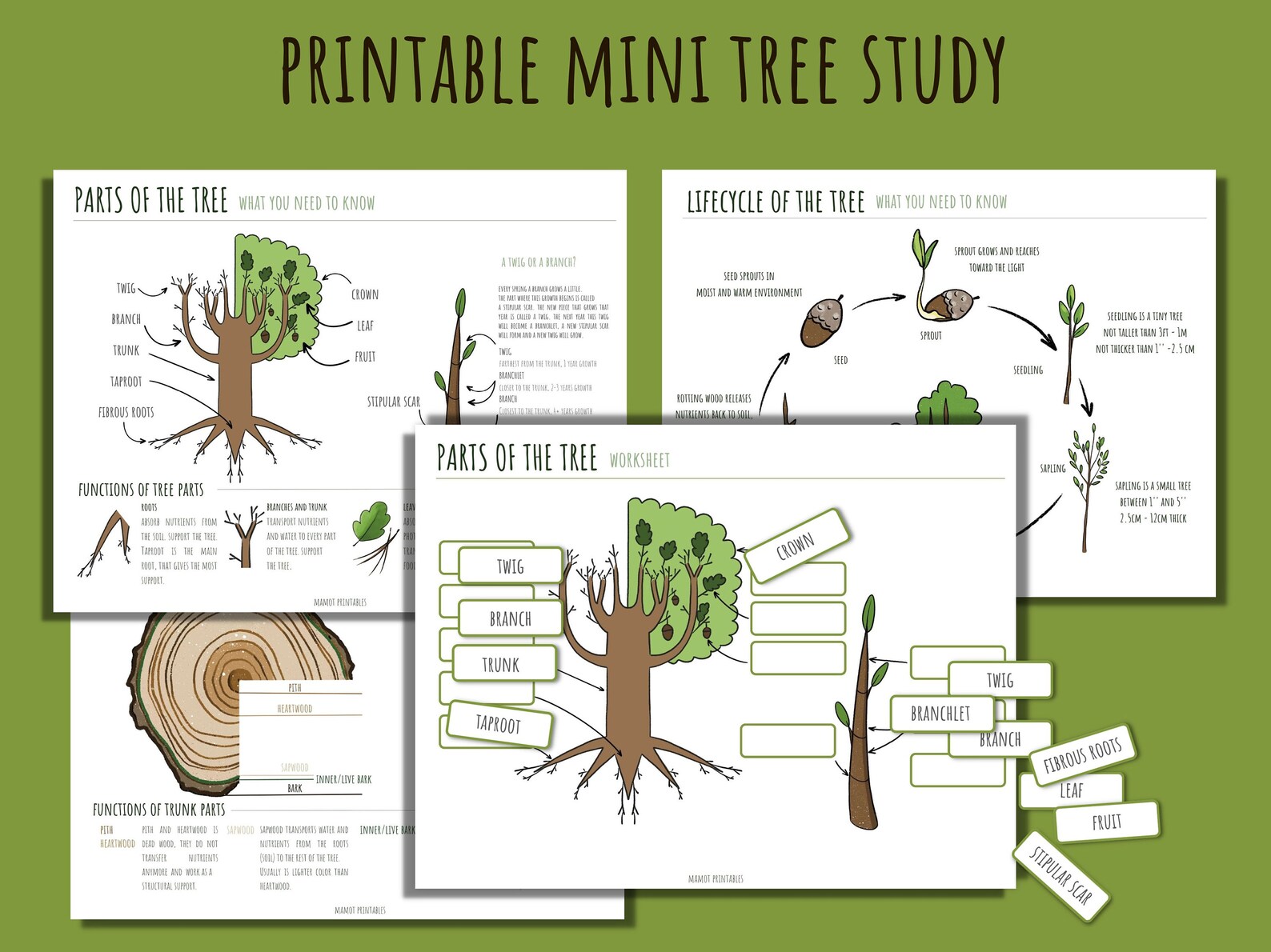 Printable Homeschool Nature Unit Study, Tree Study and Worksheets for ...