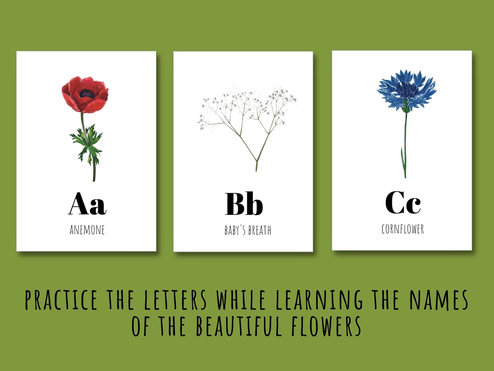 Printable Preschool Alphabet Cards, Flower Cards, Homeschool Learning ...