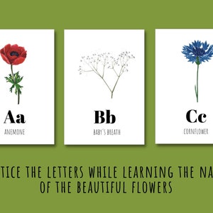 Printable Preschool Alphabet Cards, Flower Cards, Homeschool Learning ...