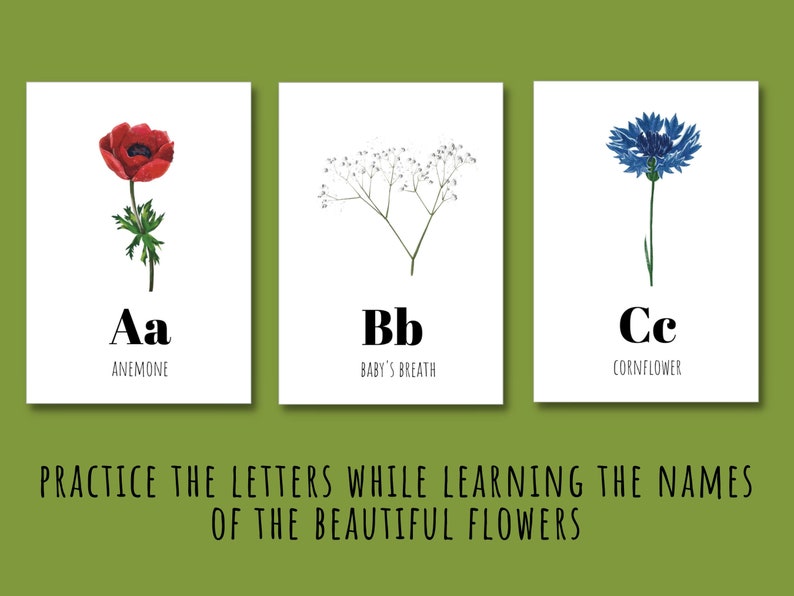 Printable Preschool Alphabet Cards, Flower Cards, Homeschool Learning ...