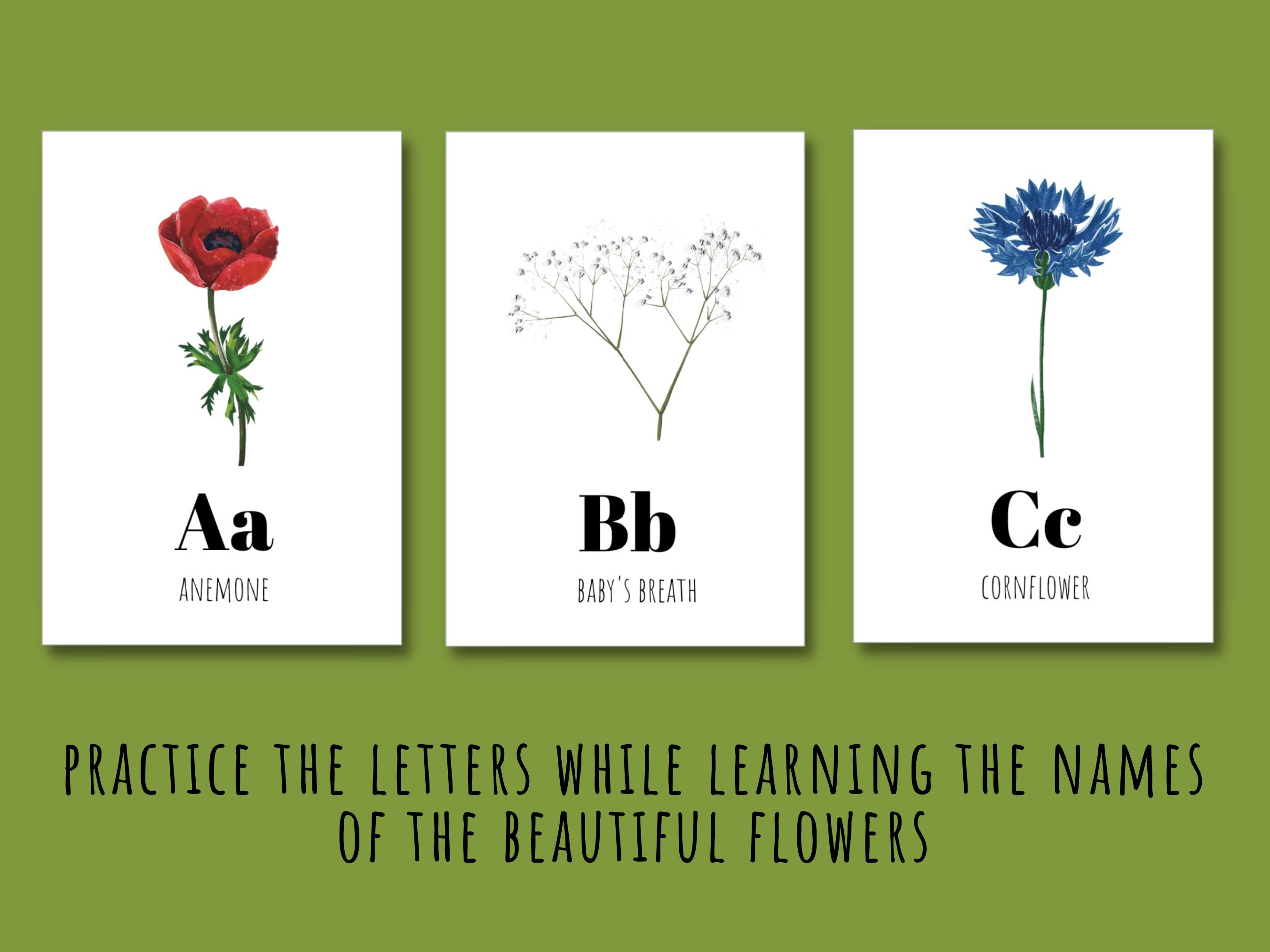 Printable Preschool Alphabet Cards, Flower Cards, Homeschool Learning ...