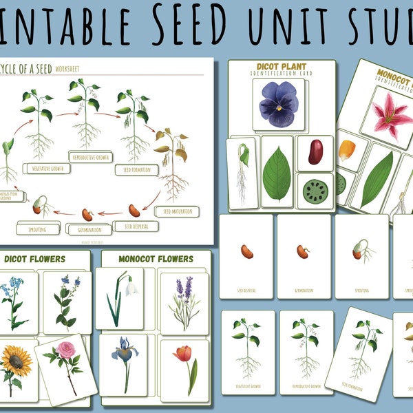 Unit Study Plants - Etsy