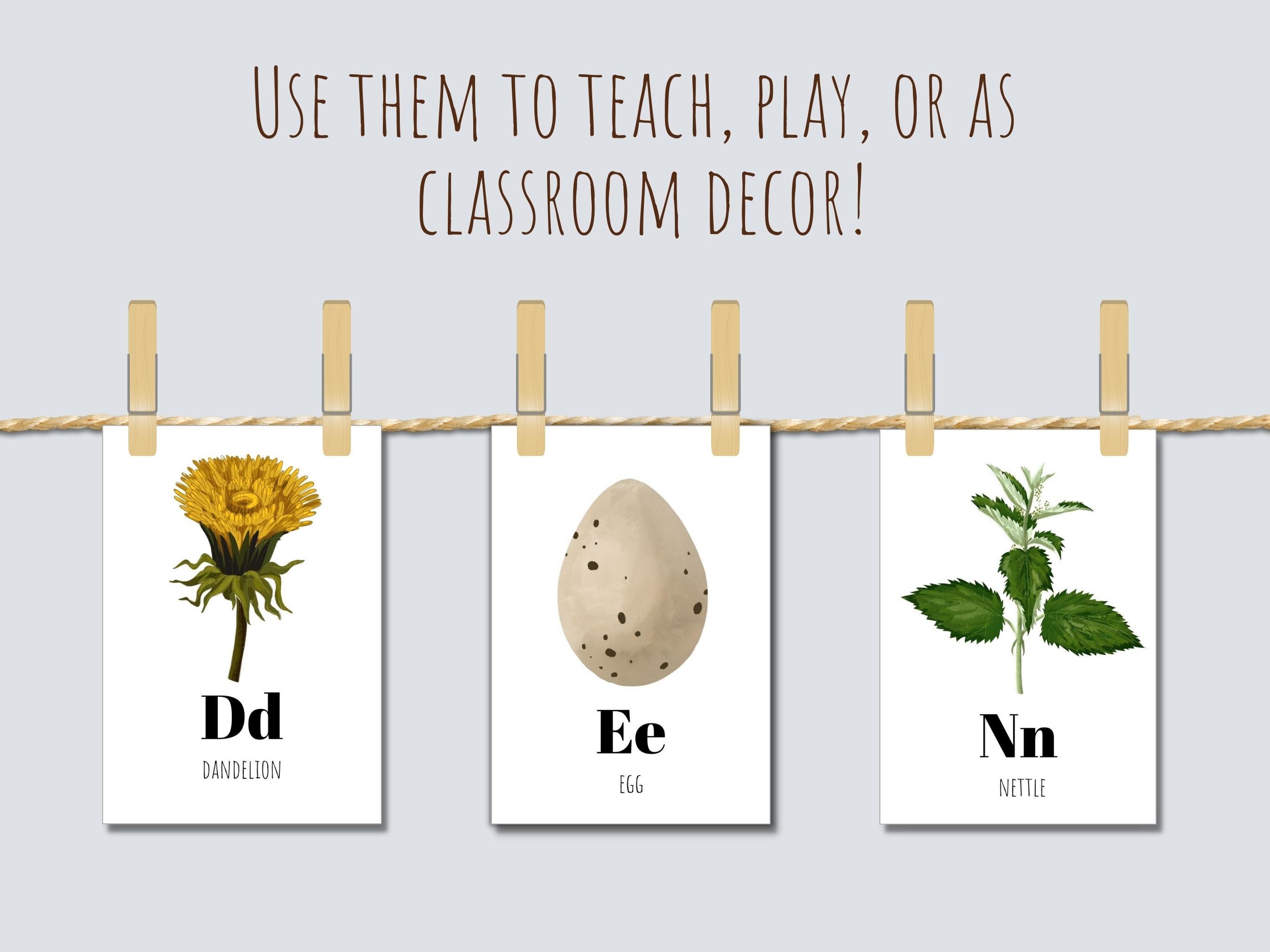 Printable Alphabet Flashcards for Toddler Learning to Read, Digital ...