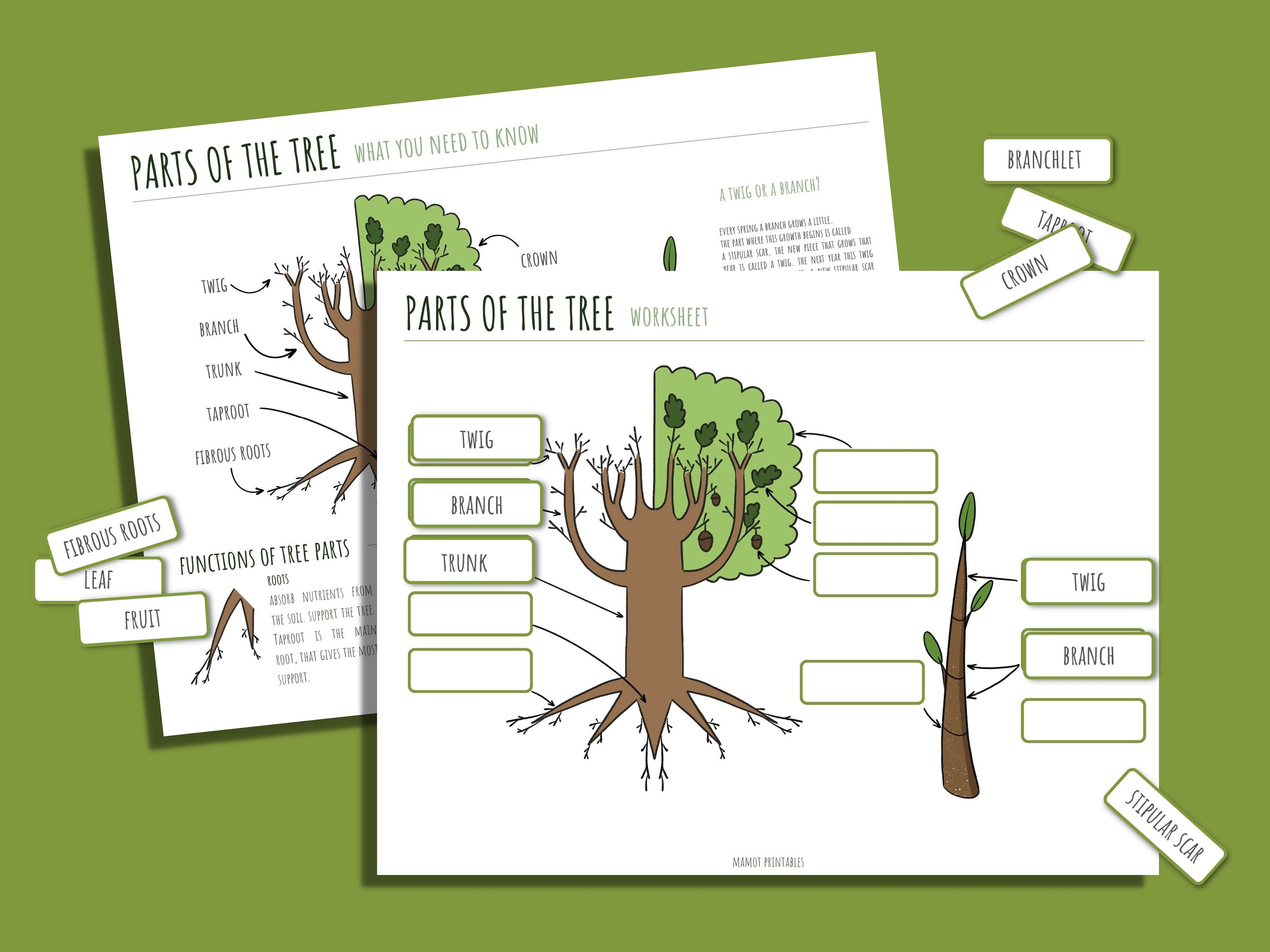 Printable Homeschool Nature Unit Study, Tree Study and Worksheets for ...