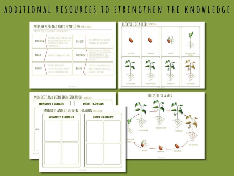 Printable Seed Unit Study, Homeschool Nature Bundle, Montessori Nature ...