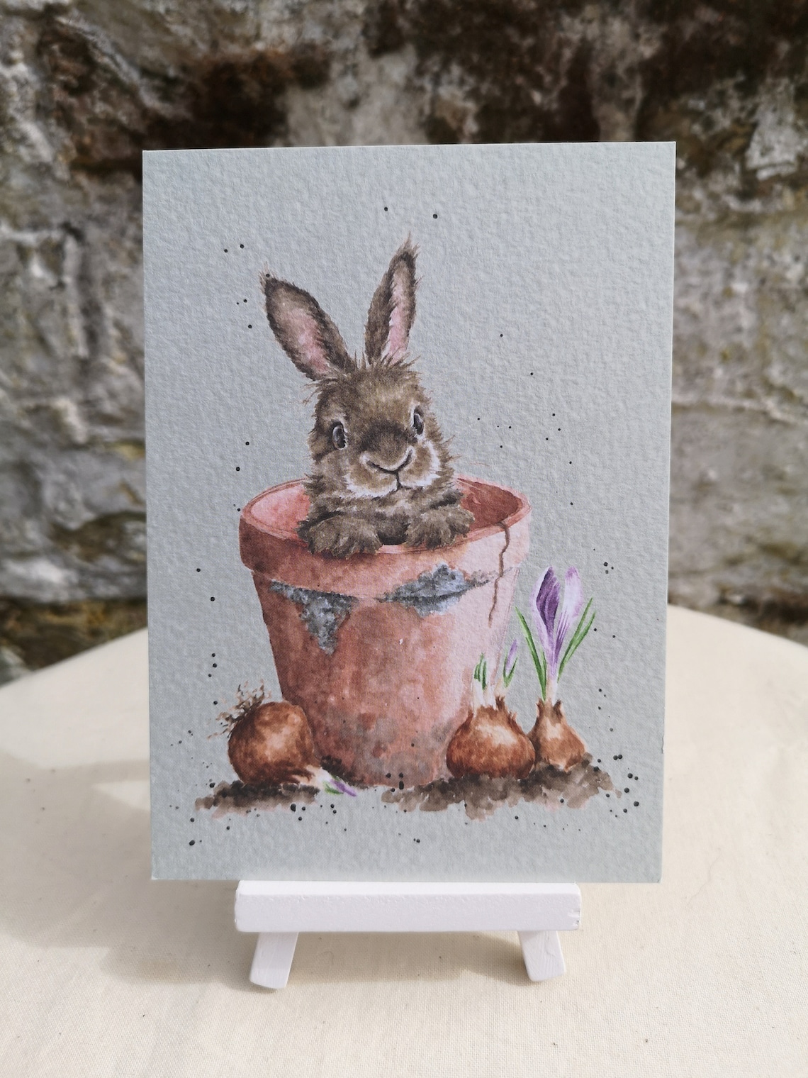 Wrendale Rabbit Postcard the Flower Pot Small - Etsy UK