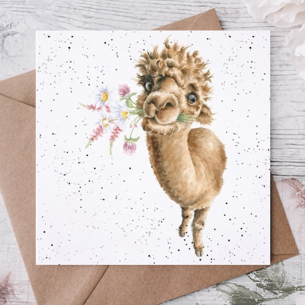 Alpaca Card - Etsy UK