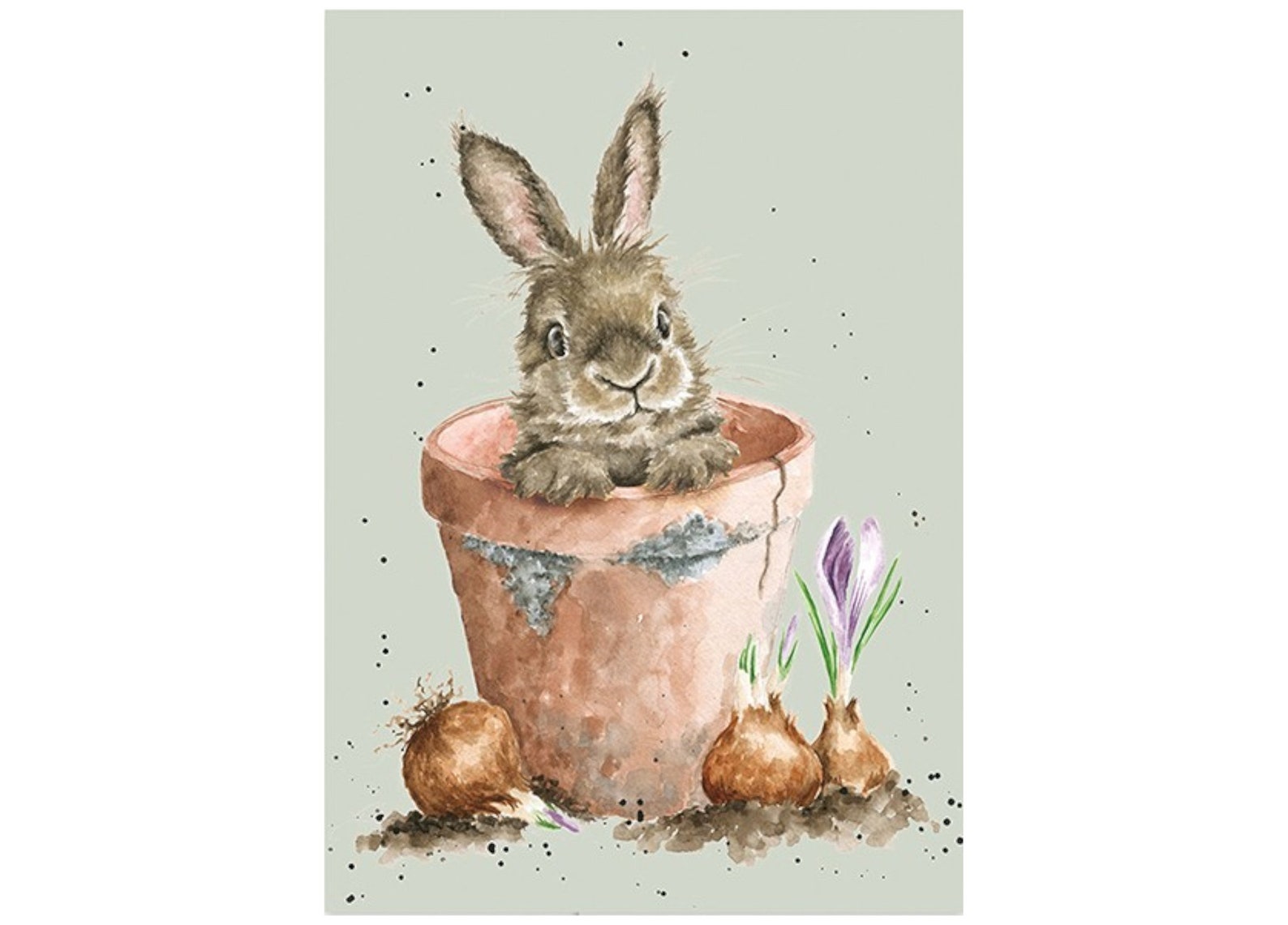 Wrendale Rabbit Postcard the Flower Pot Small - Etsy UK