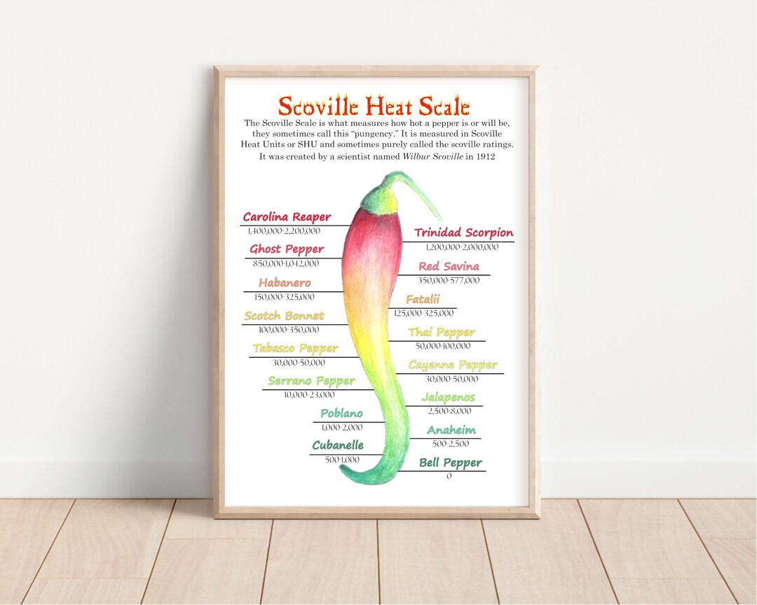 Chilli Pepper Scoville Heat Scale Chart Art Print Kitchen - Etsy Australia