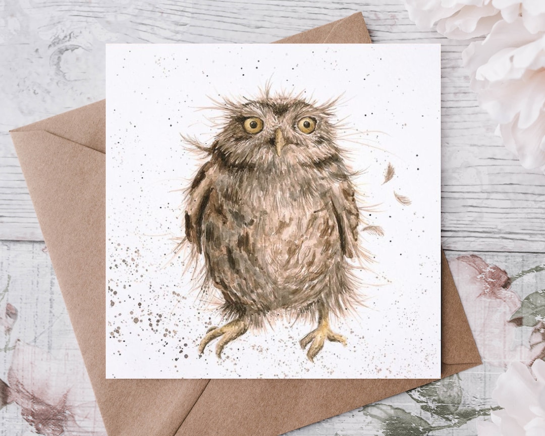 Wrendale Design Owl Blank Card, what a Hoot Quirky Little Owl, Buy 6 or ...