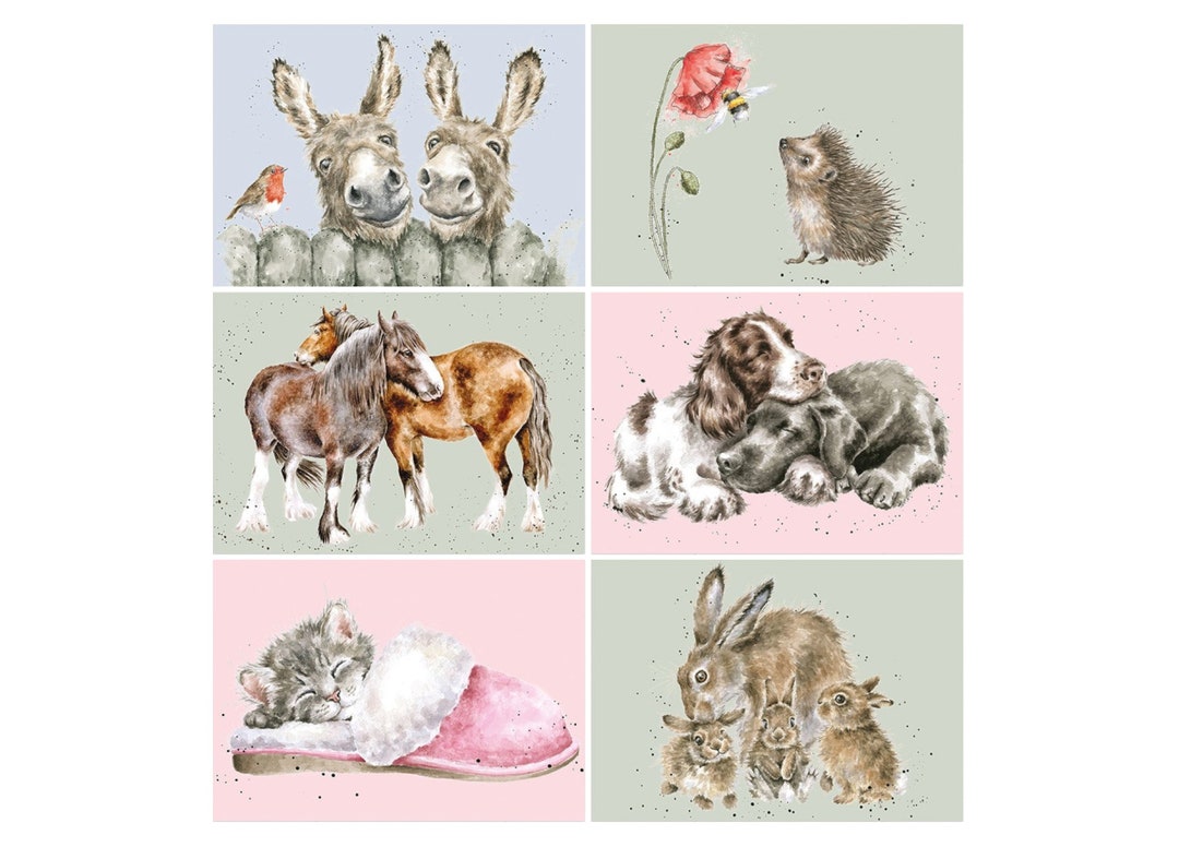 Wrendale Animal Postcards, Dog, Horse, Donkey, 148mm X 105mm - Etsy