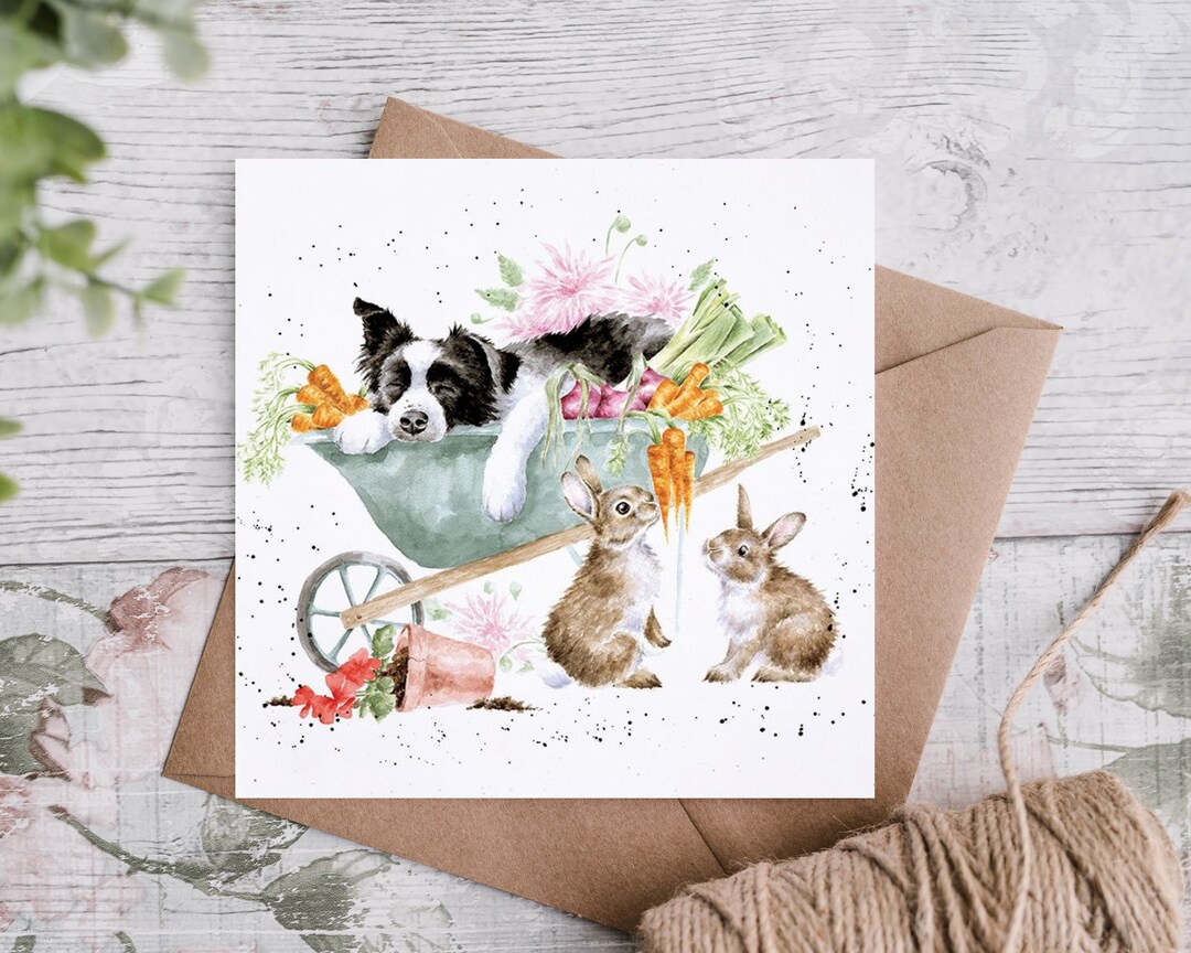 Wrendale Border Collie Card, "sleeping on the Job", Blank Inside 15cm X ...