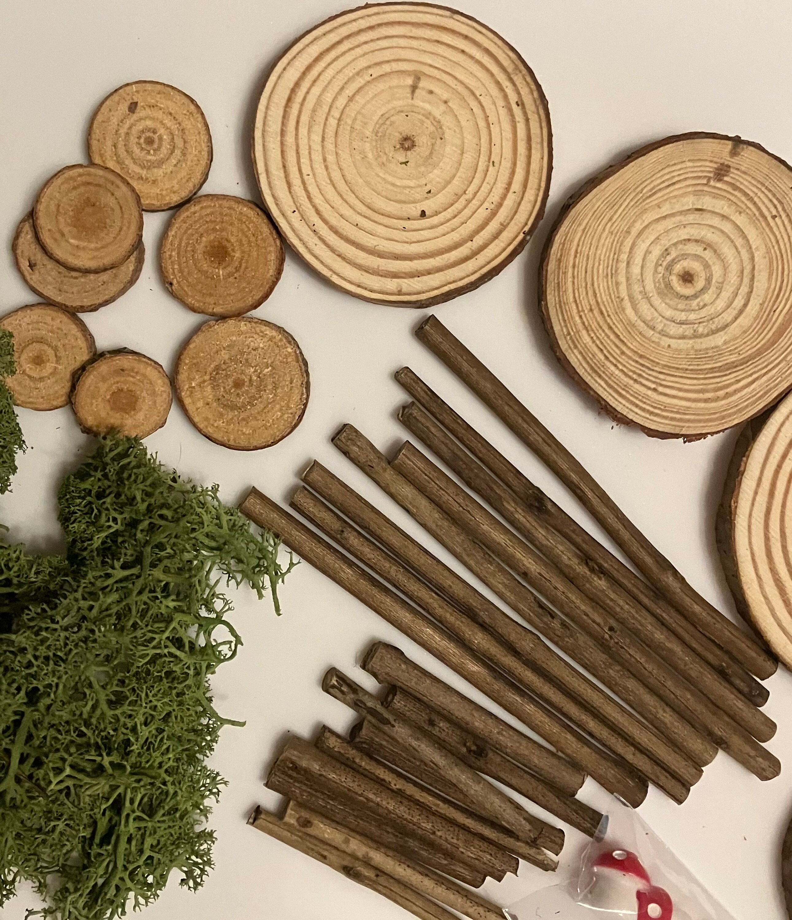 Fairy House Camp Starter Craft Kit - Etsy