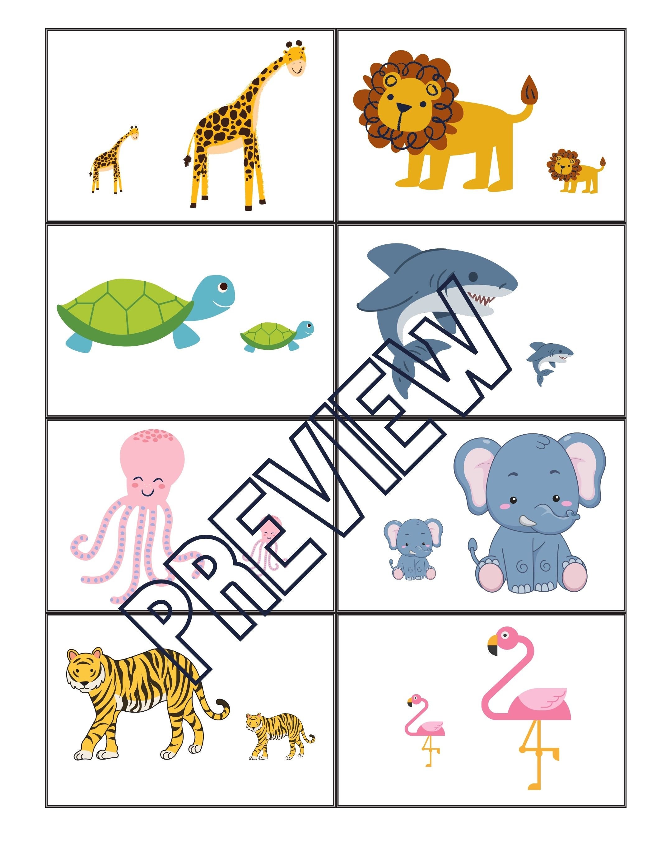 Opposites Flash Cards and Sorting Activity - Etsy