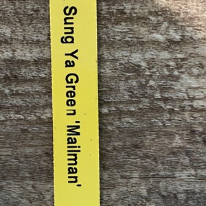 Rlc. Sung Ya Green 'mailman' 2.5 Pot - Etsy