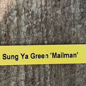 Rlc. Sung Ya Green 'mailman' (2.5” Pot) - Etsy