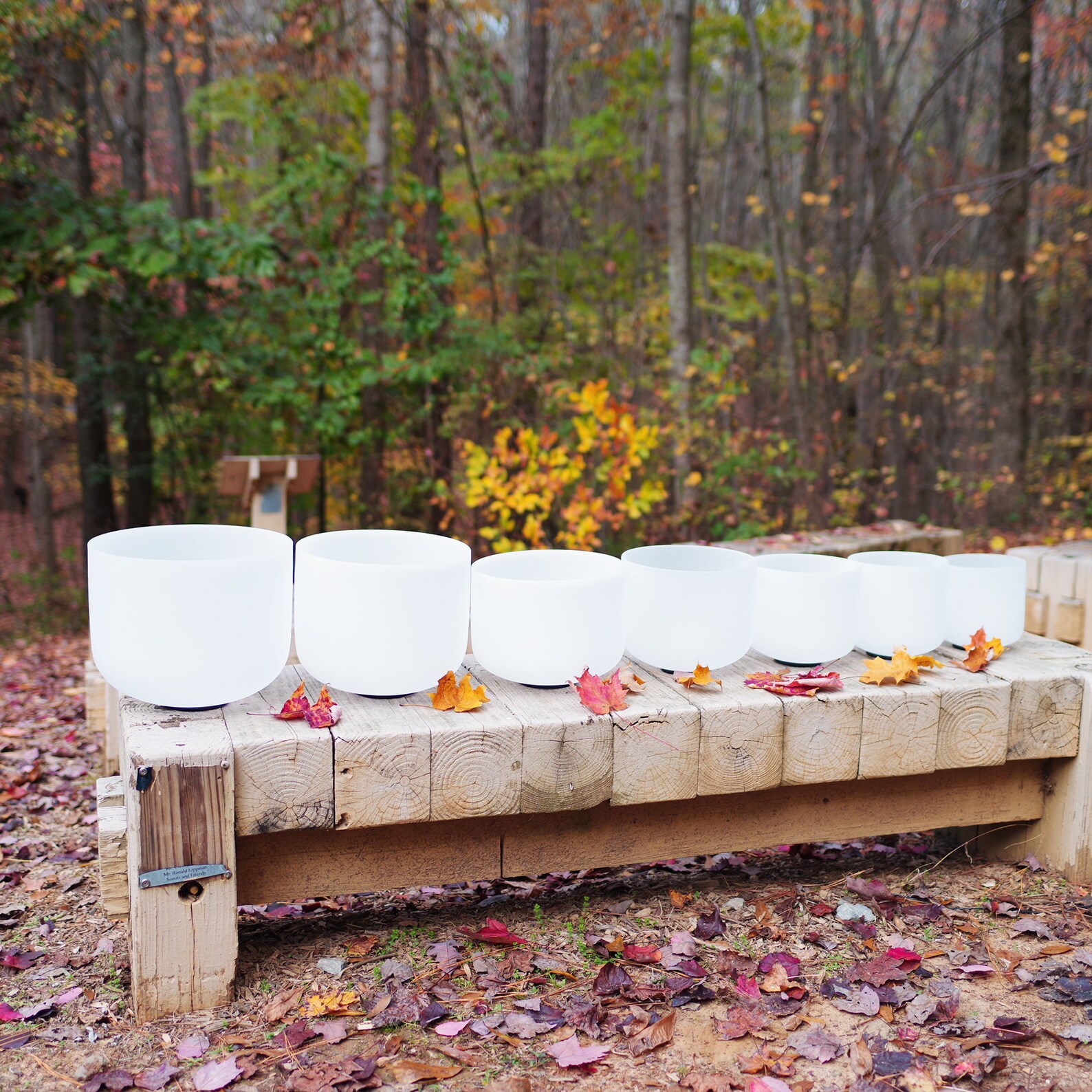 612 Frosted Quartz Perfect Pitch Crystal Singing - Etsy