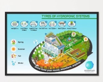 Hydroponic Poster - Etsy