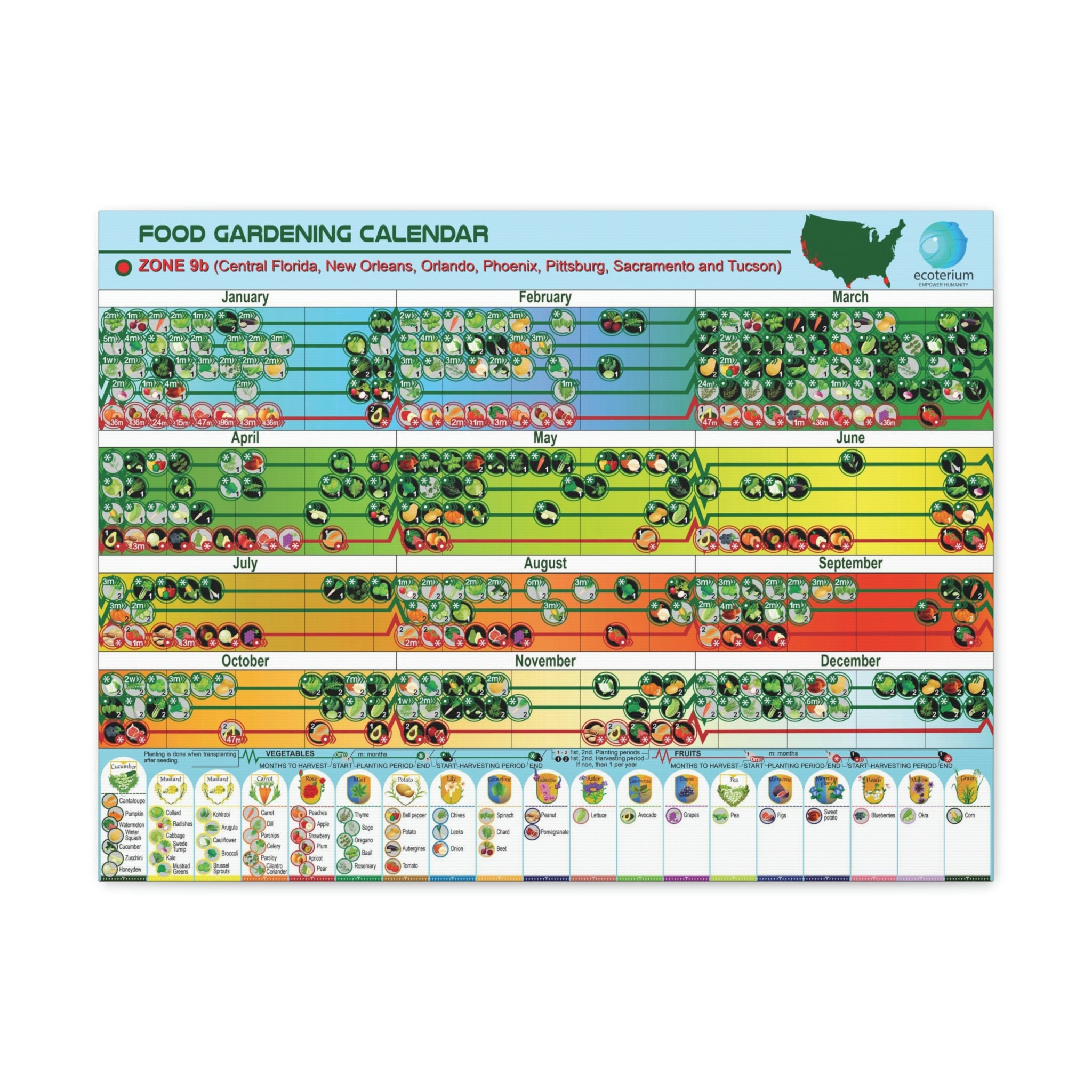 Infographic Poster With Food Growing Chart for Zone 9b USA, Food ...