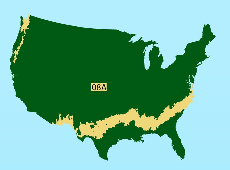 Food Calendar Zone 8a, Gardening Planner, Unframed Poster 36 X 24 ...