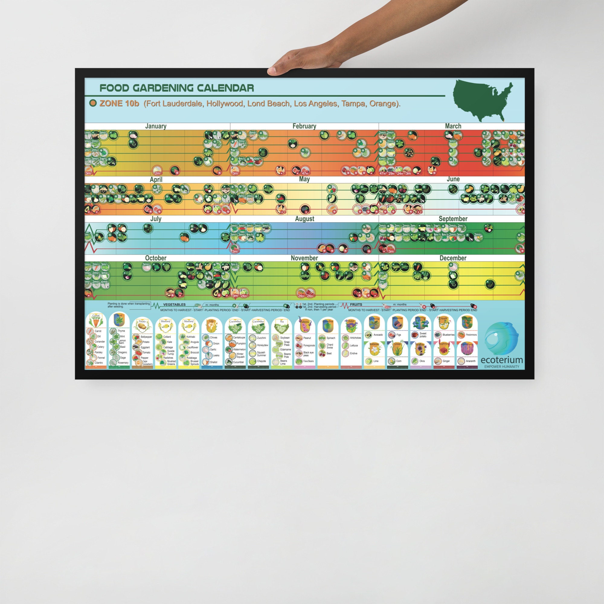 Food Growing Chart for Zone 10b Planting and Harvesting - Etsy