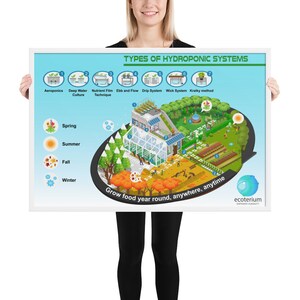 Types of Hydroponic Systems Poster, 36 X 24 Inches, Framed Educational ...