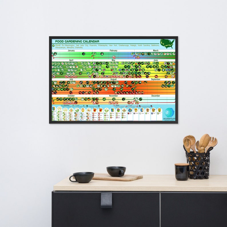 Zone 7b Planting Calendar, Food Growing Chart, Framed Poster 24 X 36 ...
