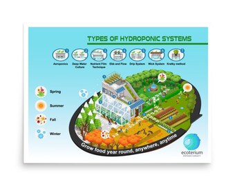 Hydroponic Poster - Etsy