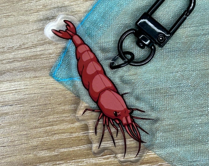 Shrimp Candy Bag Shaker Keychain Puffy Squishy PVC Charm Cute Ocean ...