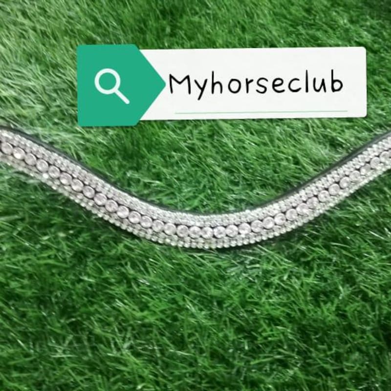 Bling Browbands Horses - Etsy