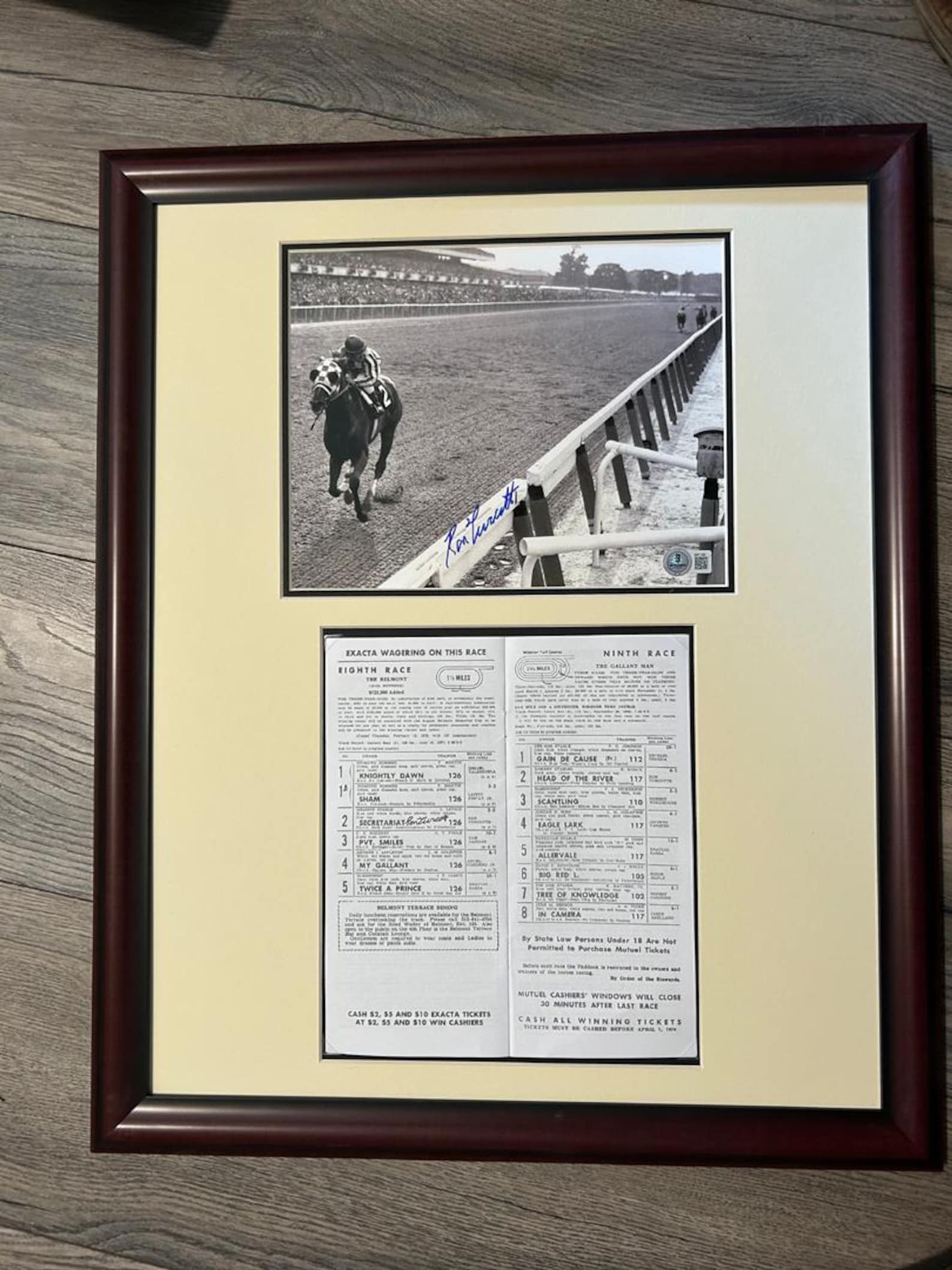 Secretariat 50th Anniversary Belmont Stakes Program / Photo Framed ...