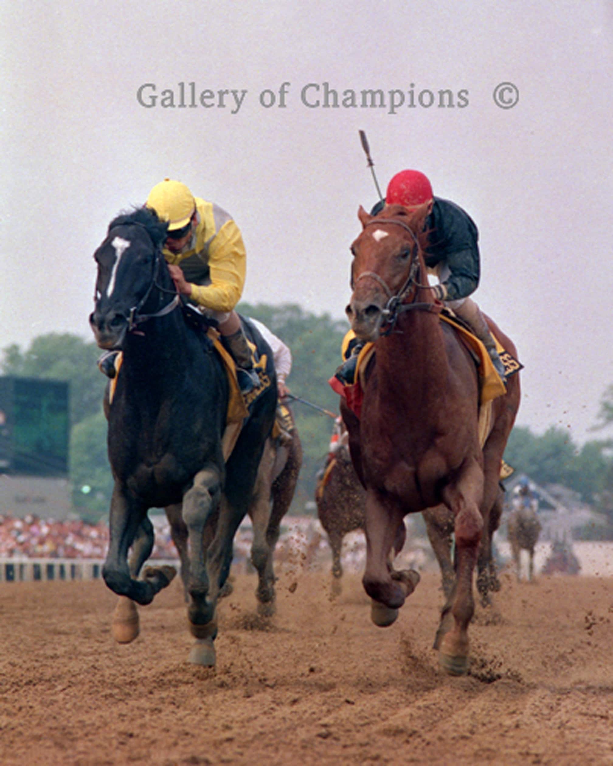 Sunday Silence / Easy Goer 1989 Preakness Inside Rail Photo - Etsy