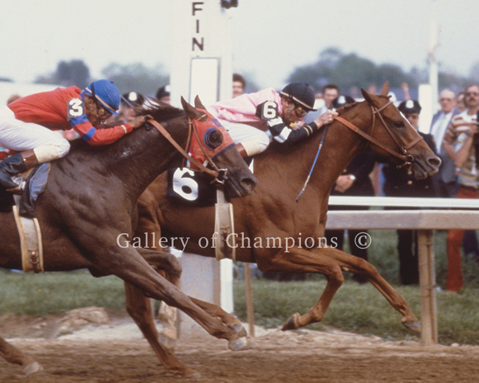 Affirmed 1978 Preakness Stakes Photo - Etsy