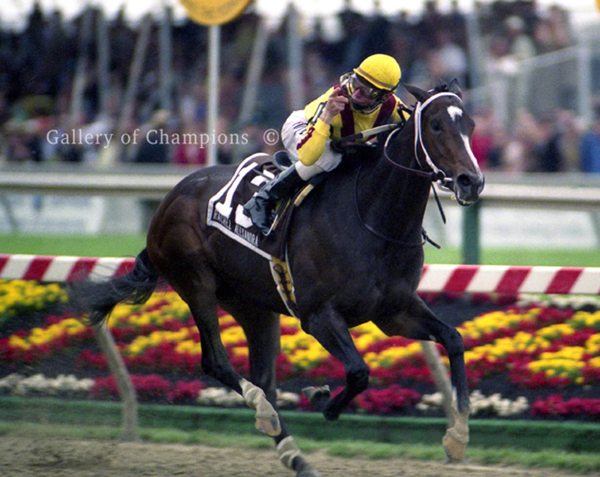 Rachel Alexandra 2009 Preakness Finish Photo - Etsy