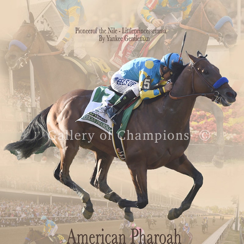 Pharaohs Horses - Etsy