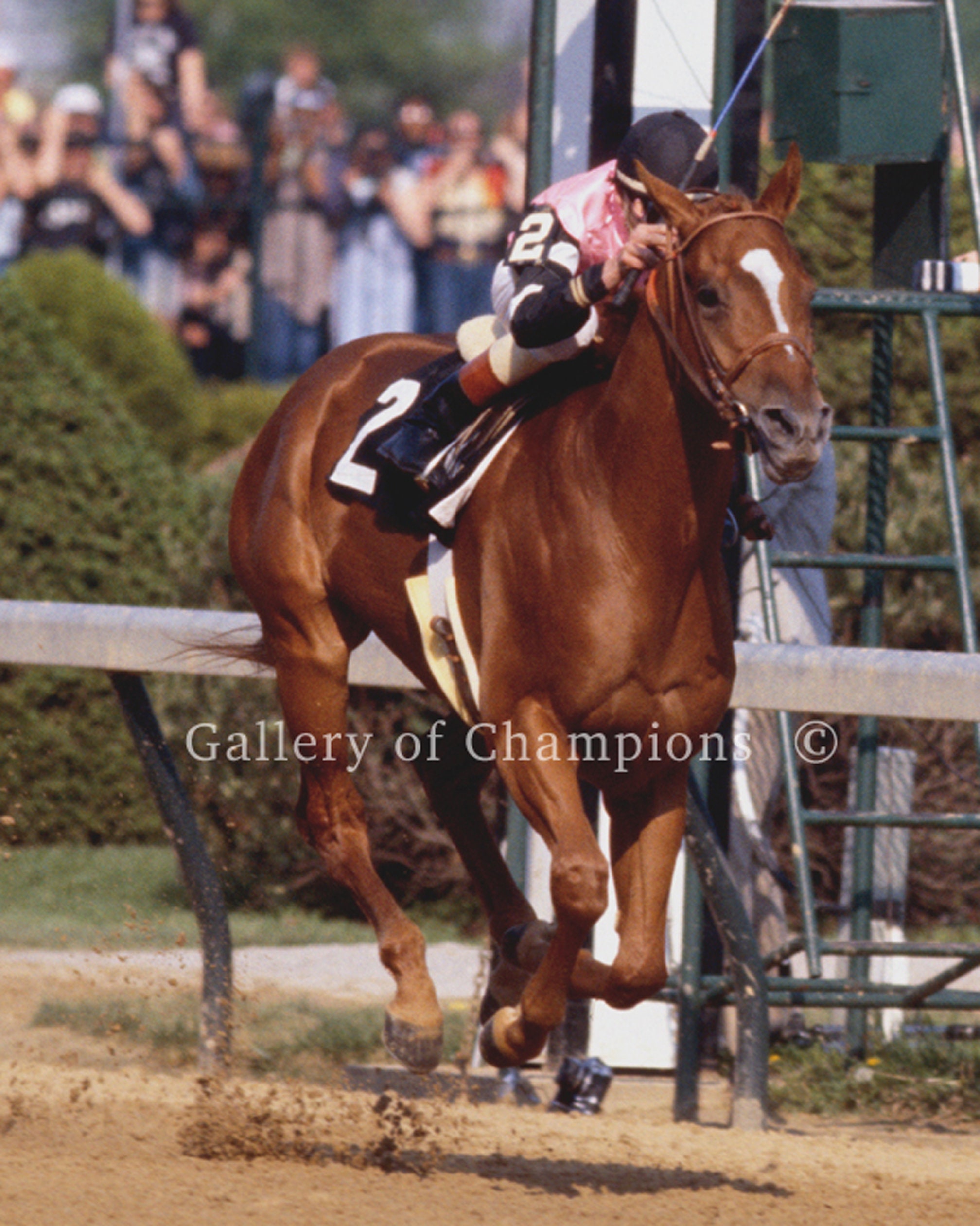 Art & Collectibles Collectibles Affirmed Alydar 1978 Kentucky Derby ...